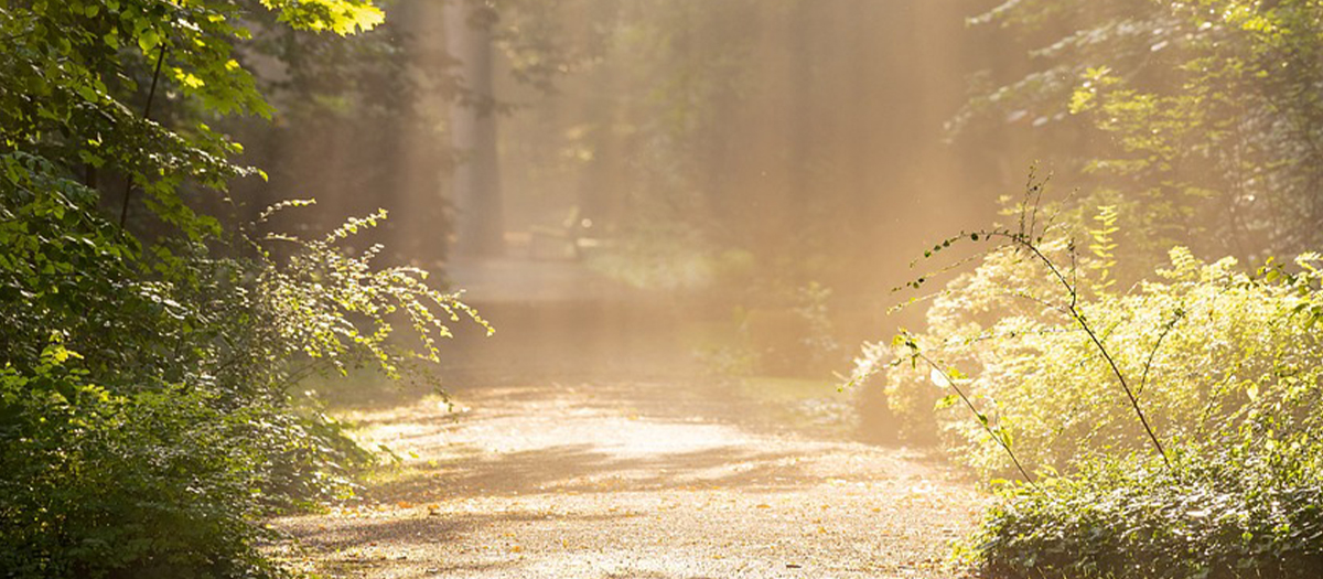 The Noble Eightfold Path in Buddhism - Life Coaching Boulder